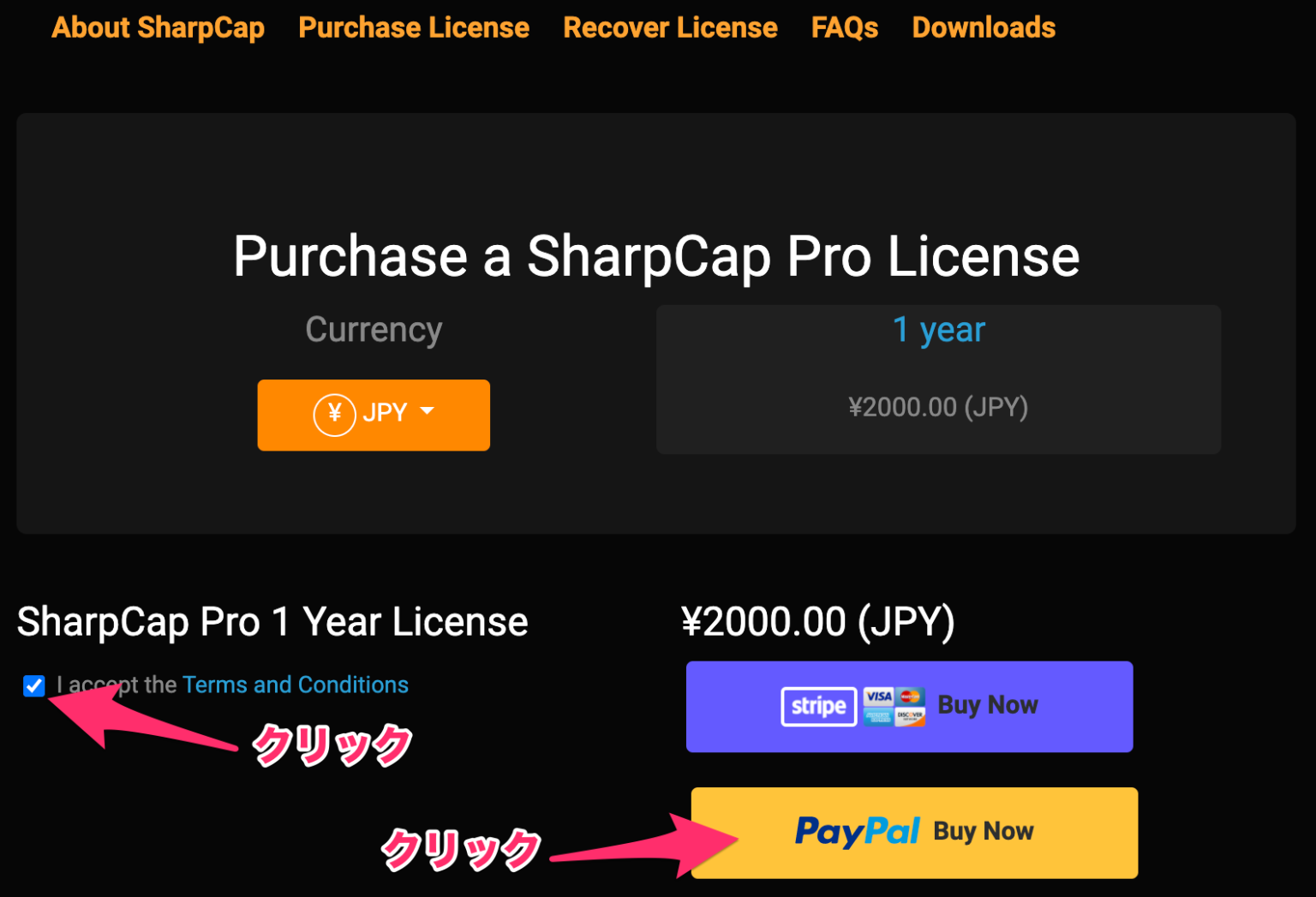 【課金すべき？】 有料版 SharpCap Pro の機能と購入方法 - リアルスターリー